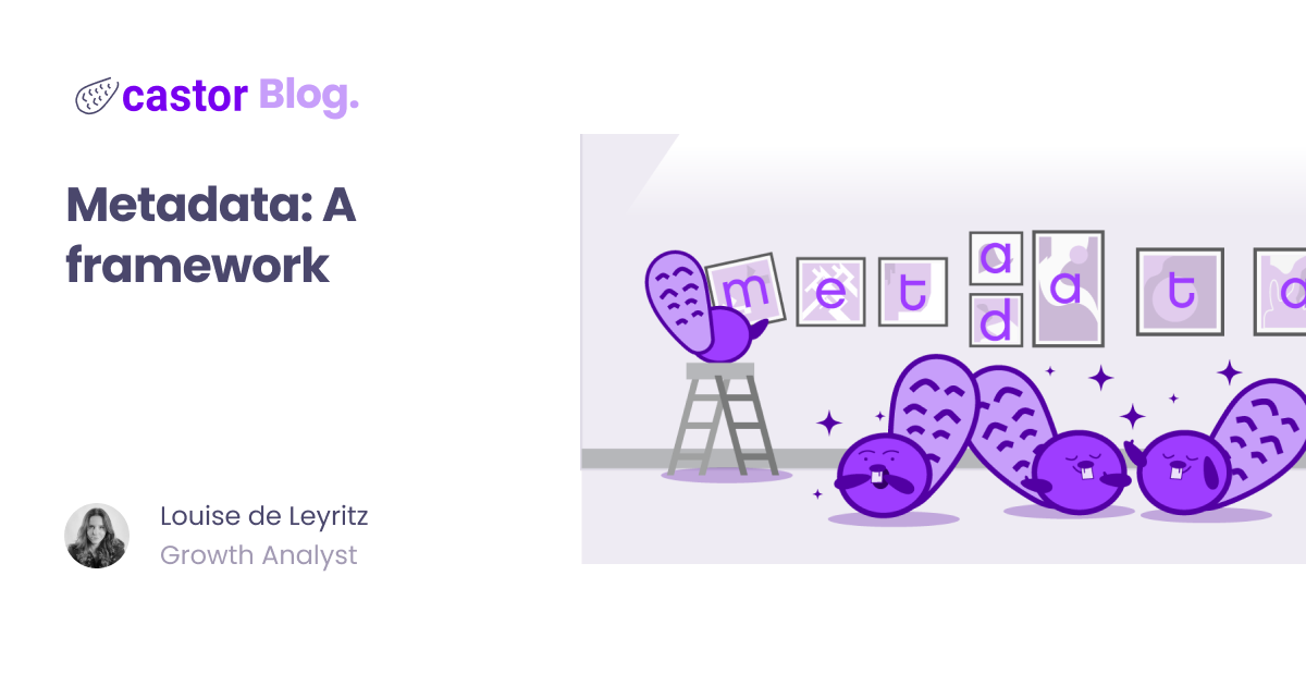 Metadata: A Framework - Castor Blog
